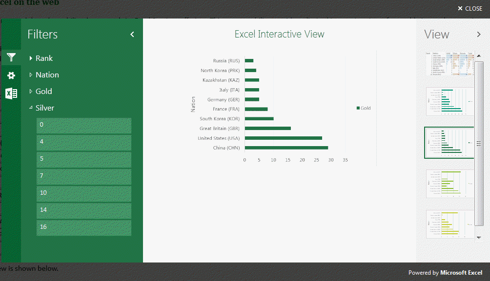 Excel Interactive View